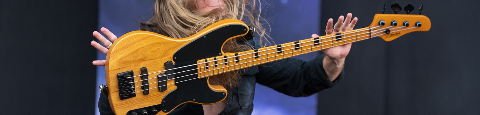 Chris David - Majestica/Wizdoom/Therion